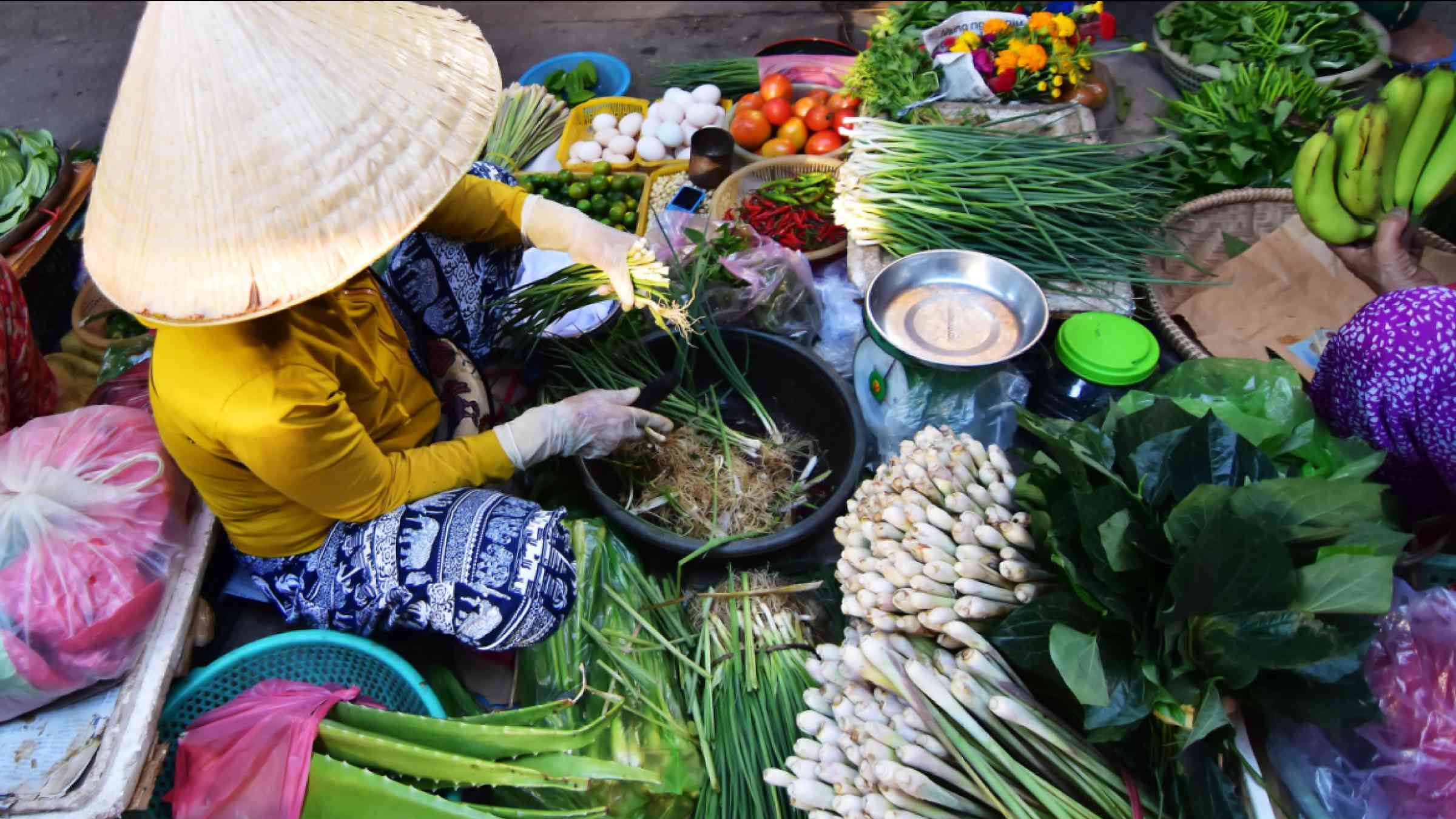 Asia and the Pacific: Demand-driven cooperation helps build resilience ...