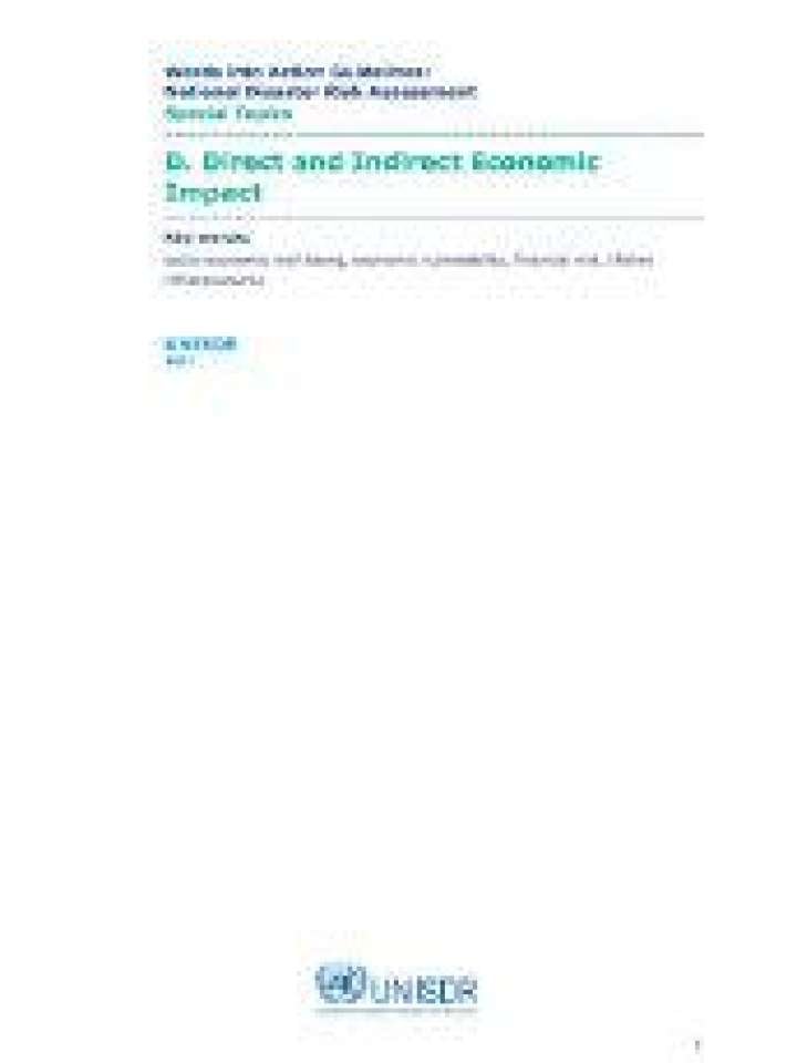 Direct and indirect economic impact | UNDRR