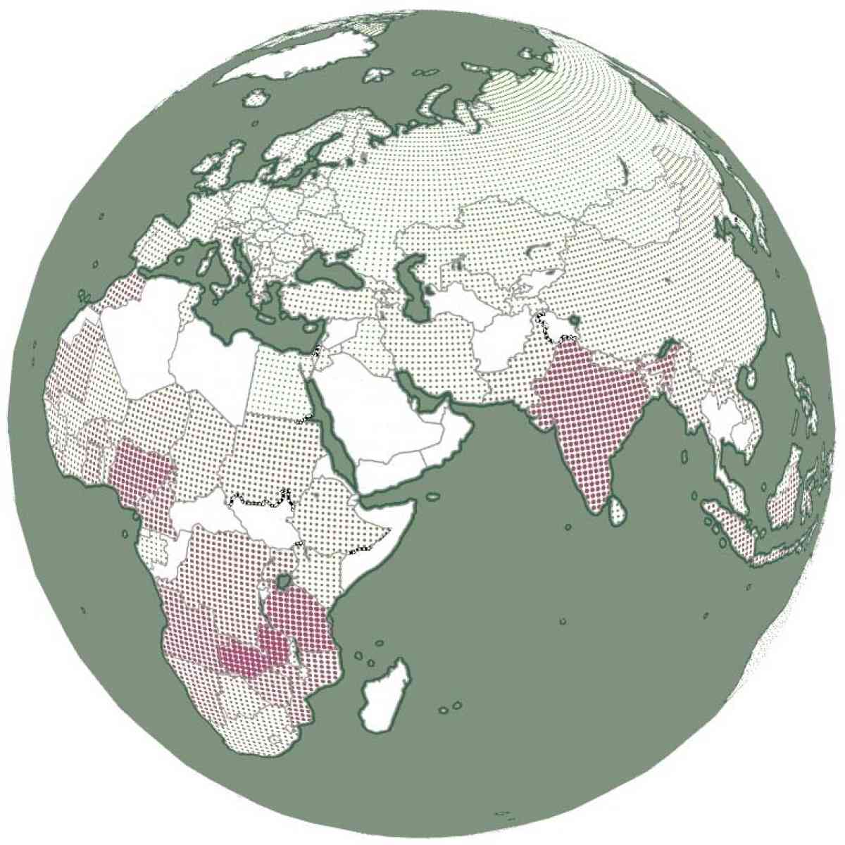 Global Assessment Report (GAR) 2025 | UNDRR